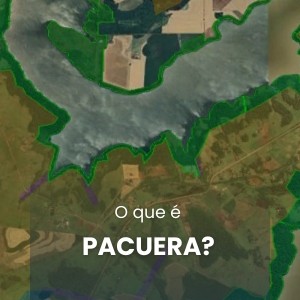 O que é Pacuera?